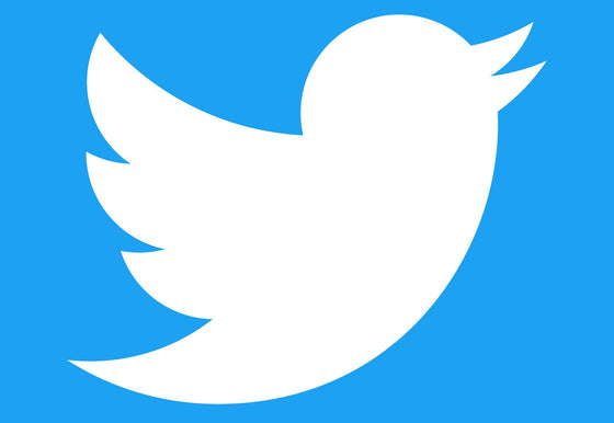 Social Media – Eva Elfie